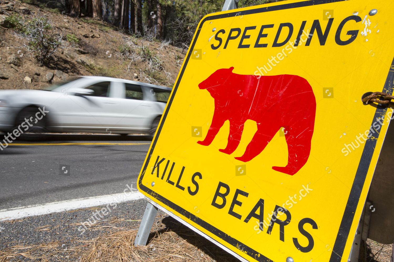 Yellow Speed Kills Bears Sign Yosemite Editorial Stock Photo - Stock ...