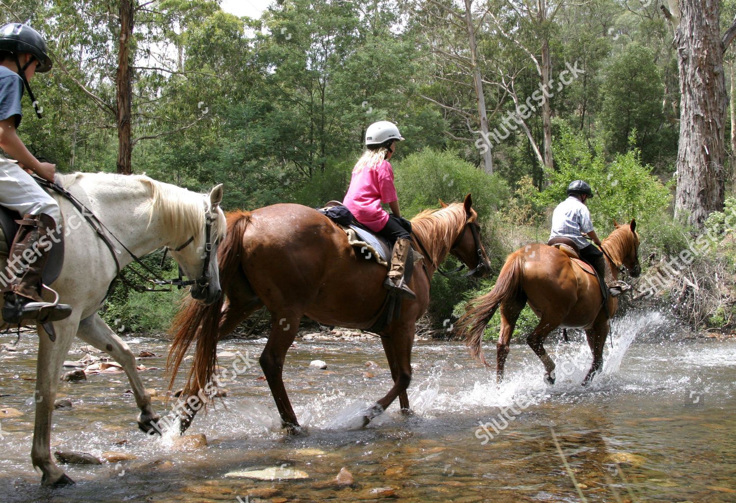 Pony Trekking Editorial Stock Photo - Stock Image | Shutterstock