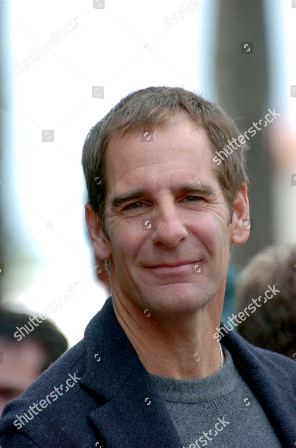 Scott Bakula Editorial Stock Photo - Stock Image | Shutterstock