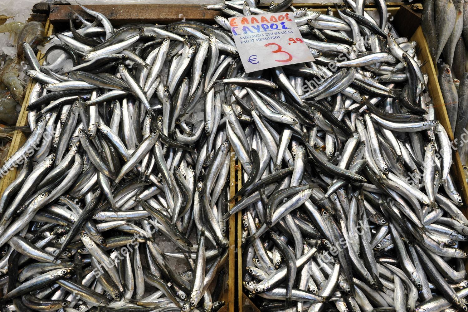 Fish Sale Anchovies Market Quarter Market Editorial Stock Photo - Stock ...