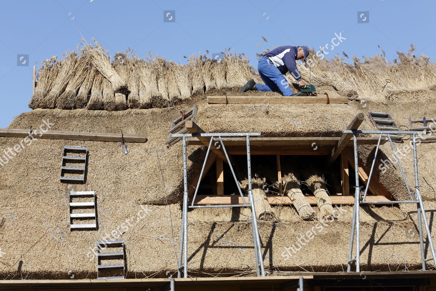 Builder Thatching Roof Reed Thatched House Editorial Stock Photo ...