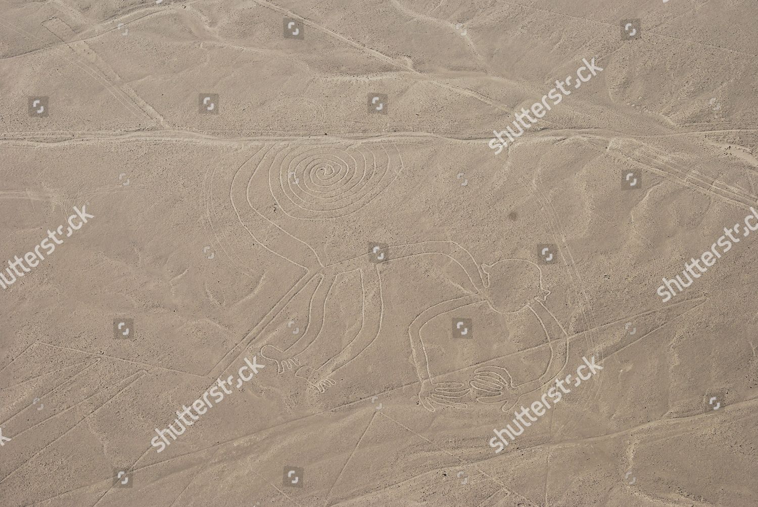 Monkey Nazca Lines Nasca Geoglyphs Unesco Editorial Stock Photo - Stock ...