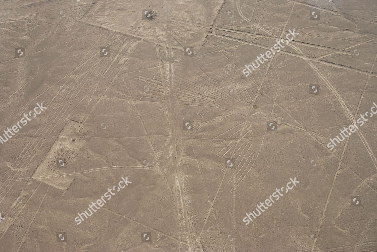 Condor Nazca Lines Nasca Geoglyphs Unesco Editorial Stock Photo - Stock ...