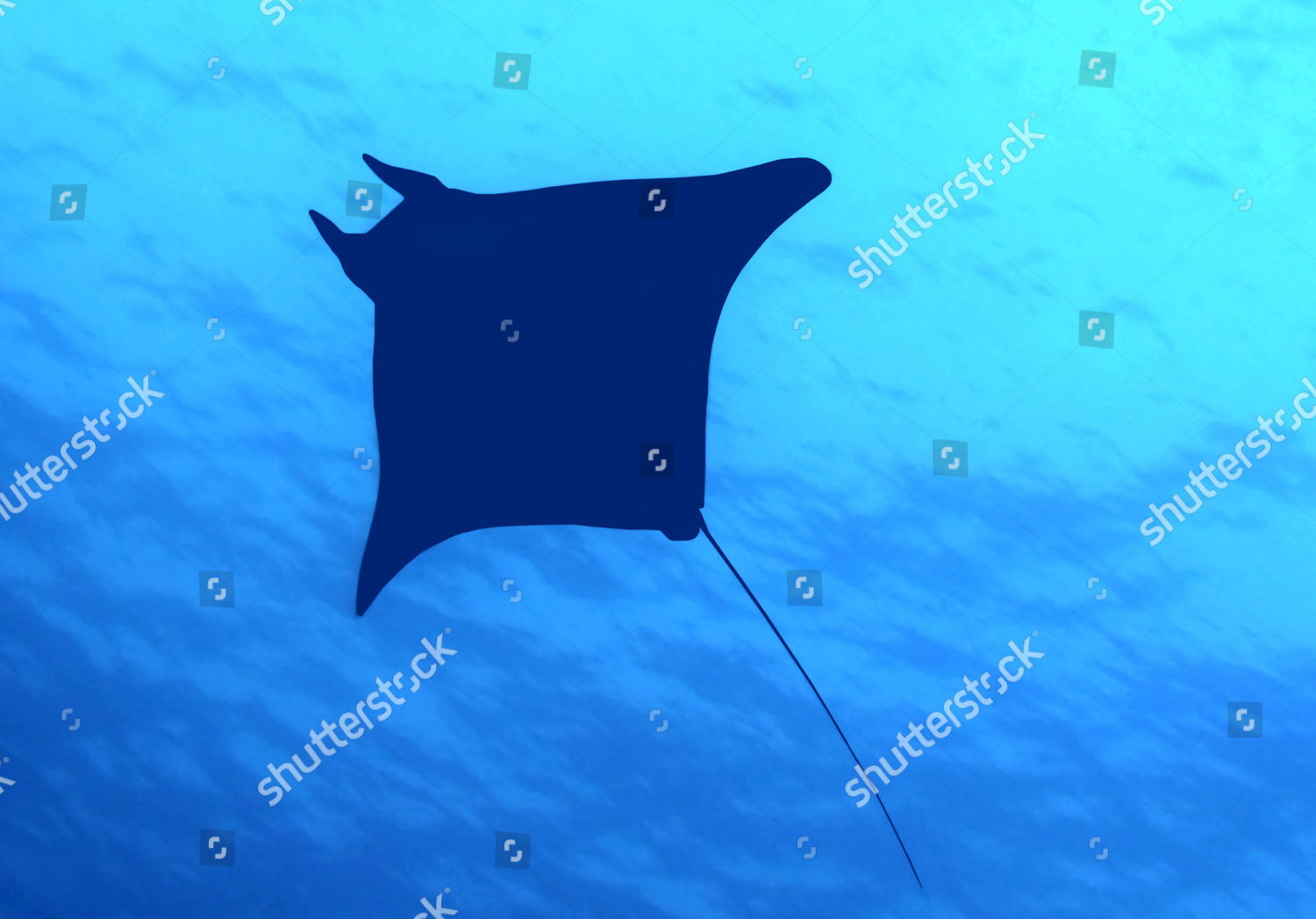 Devil Fish Ray Mobula Editorial Stock Photo - Stock Image | Shutterstock