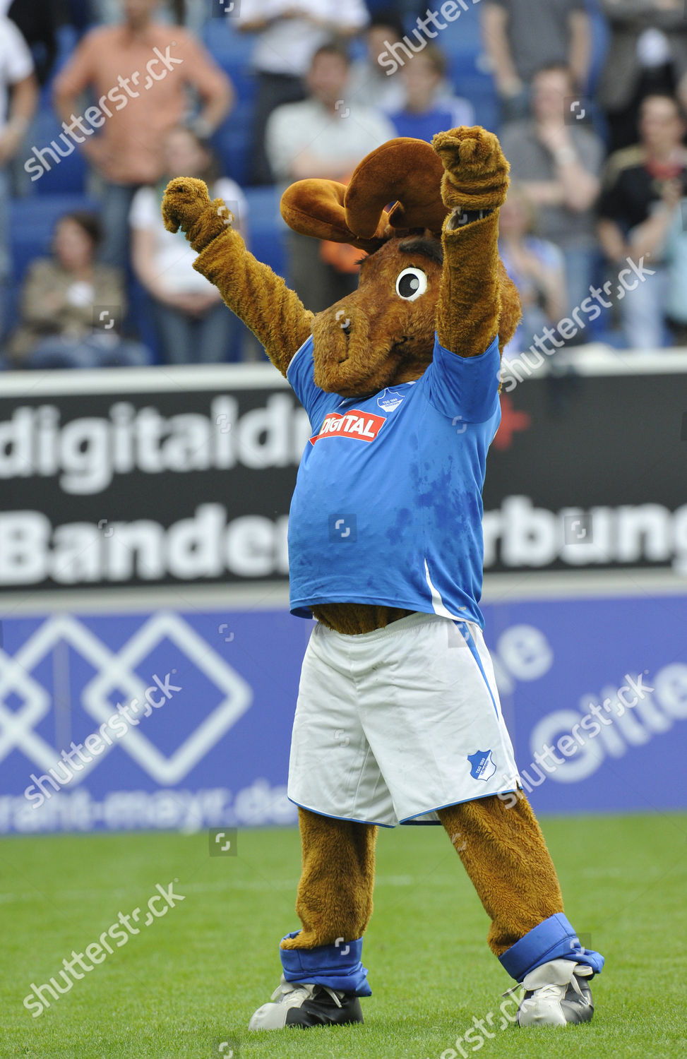 Tsg 1899 Hoffenheim Football Club Mascot Editorial Stock Photo - Stock ...