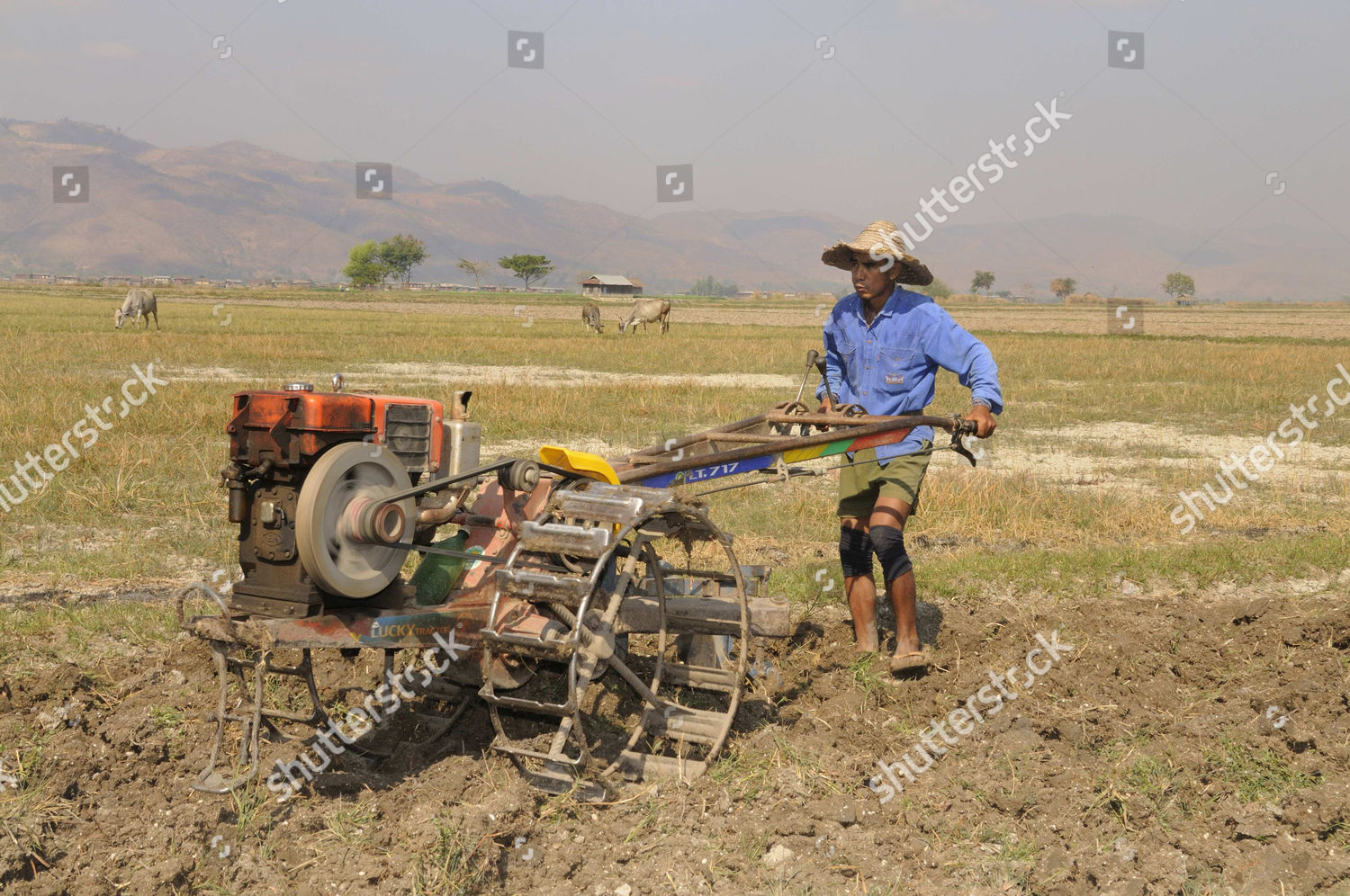 Intha Farmer Plowing Field Handheld Tractor Editorial Stock Photo ...