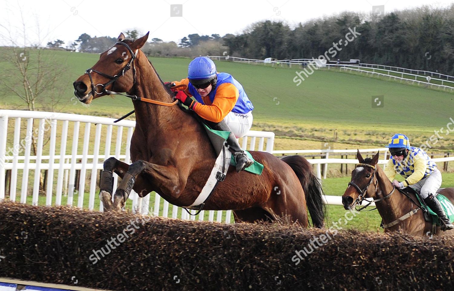 Downpatrick Magical Mother Kevin Sexton Over Editorial Stock Photo ...