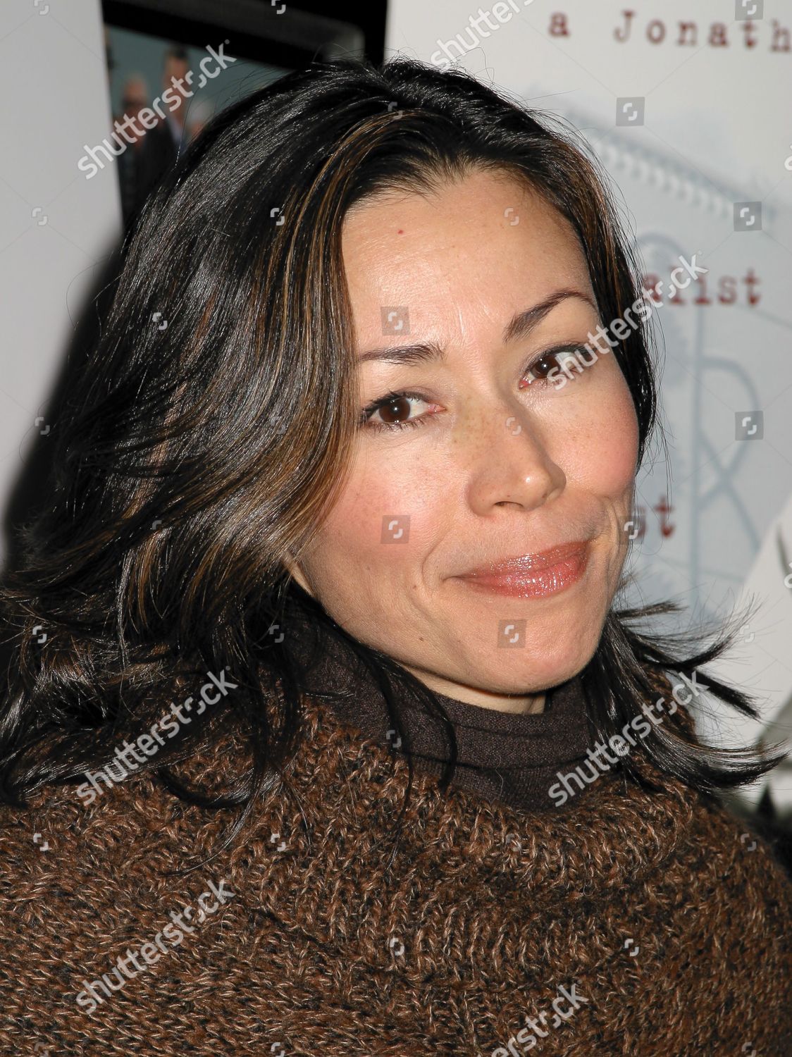 Ann Curry Editorial Stock Photo - Stock Image | Shutterstock
