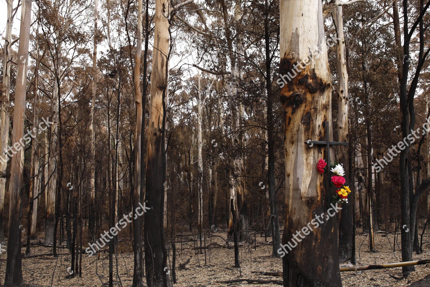 Shrine Memory Fire Victims Attached Burnt Editorial Stock Photo - Stock ...