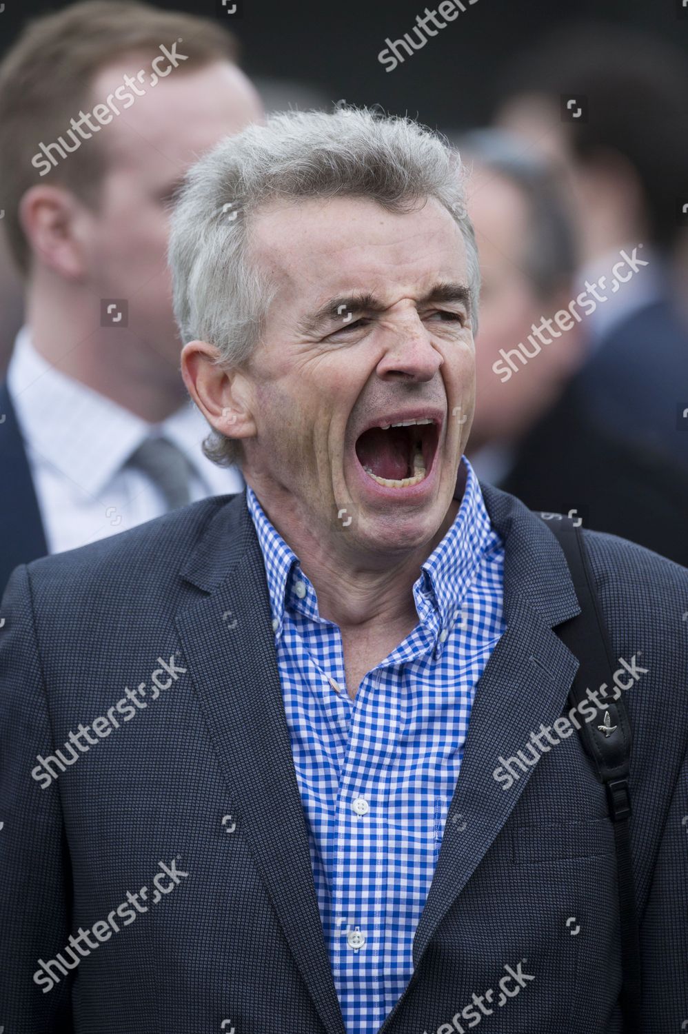 Michael Oleary Head Ryan Air Editorial Stock Photo - Stock Image ...