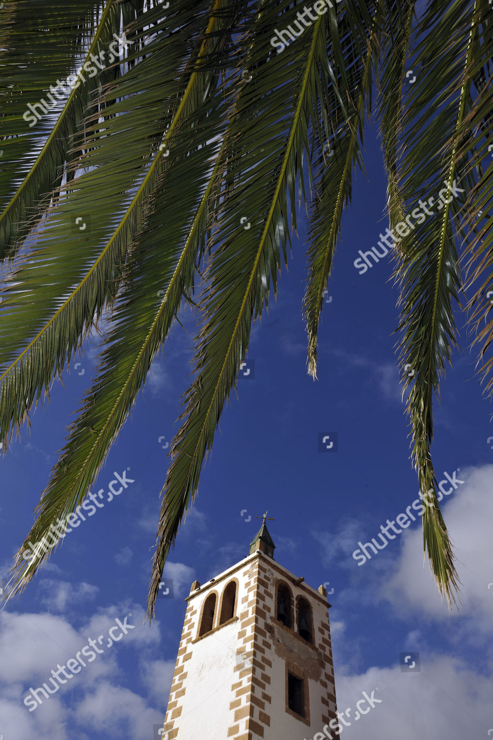 Palm Tree Church Tower Parish Church Editorial Stock Photo - Stock ...
