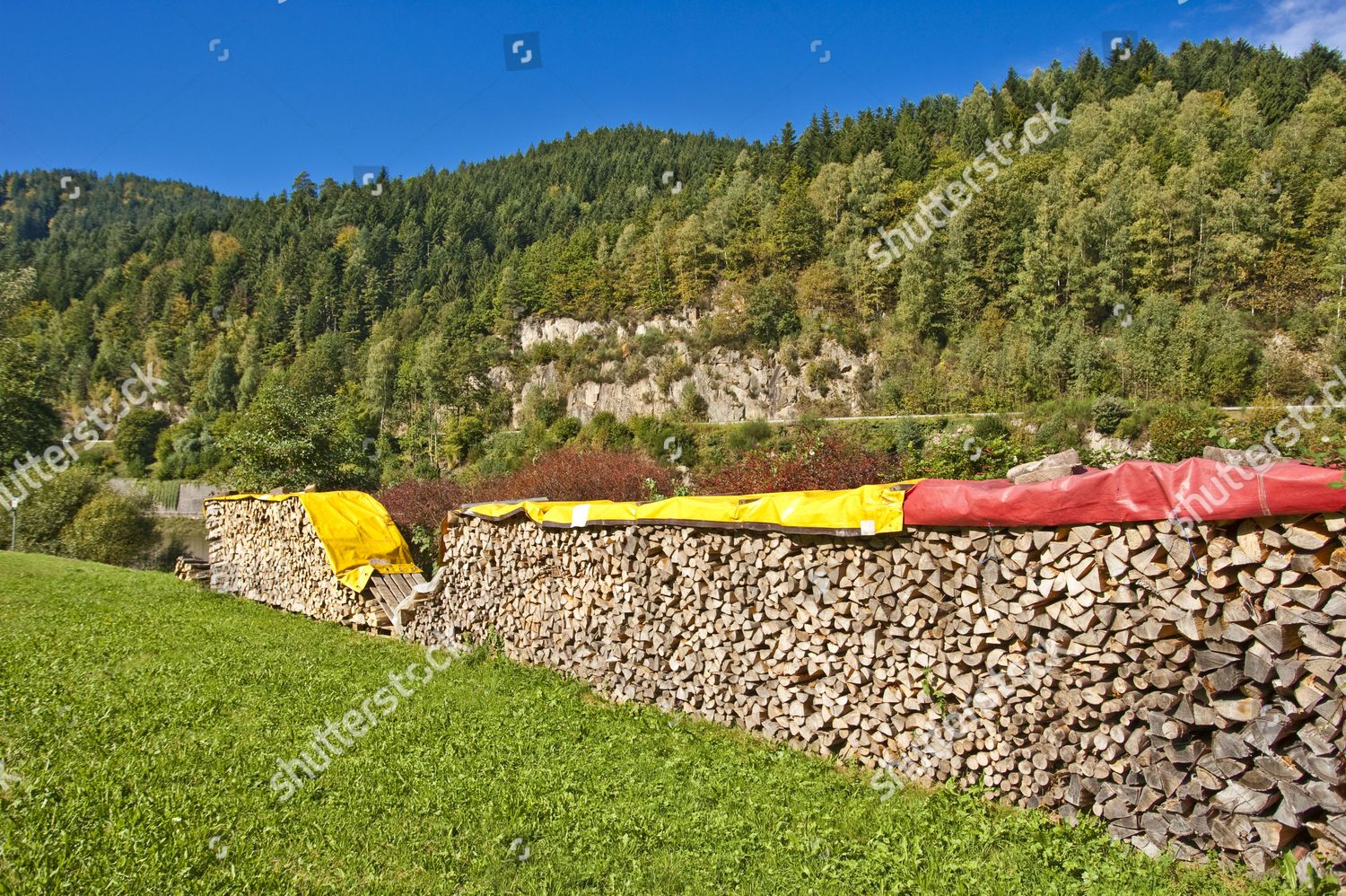 Landscape Along Murg River Forbach Black Editorial Stock Photo - Stock ...
