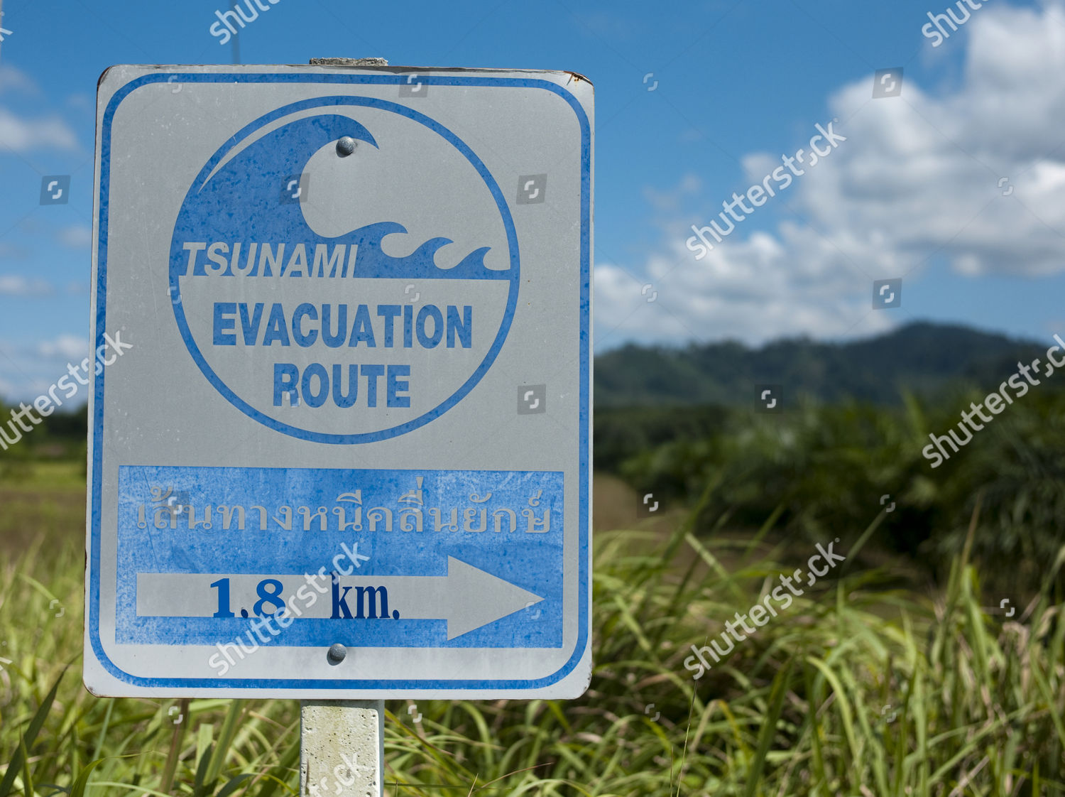 Tsunami Warning Sign On Beach Direction Editorial Stock Photo - Stock ...