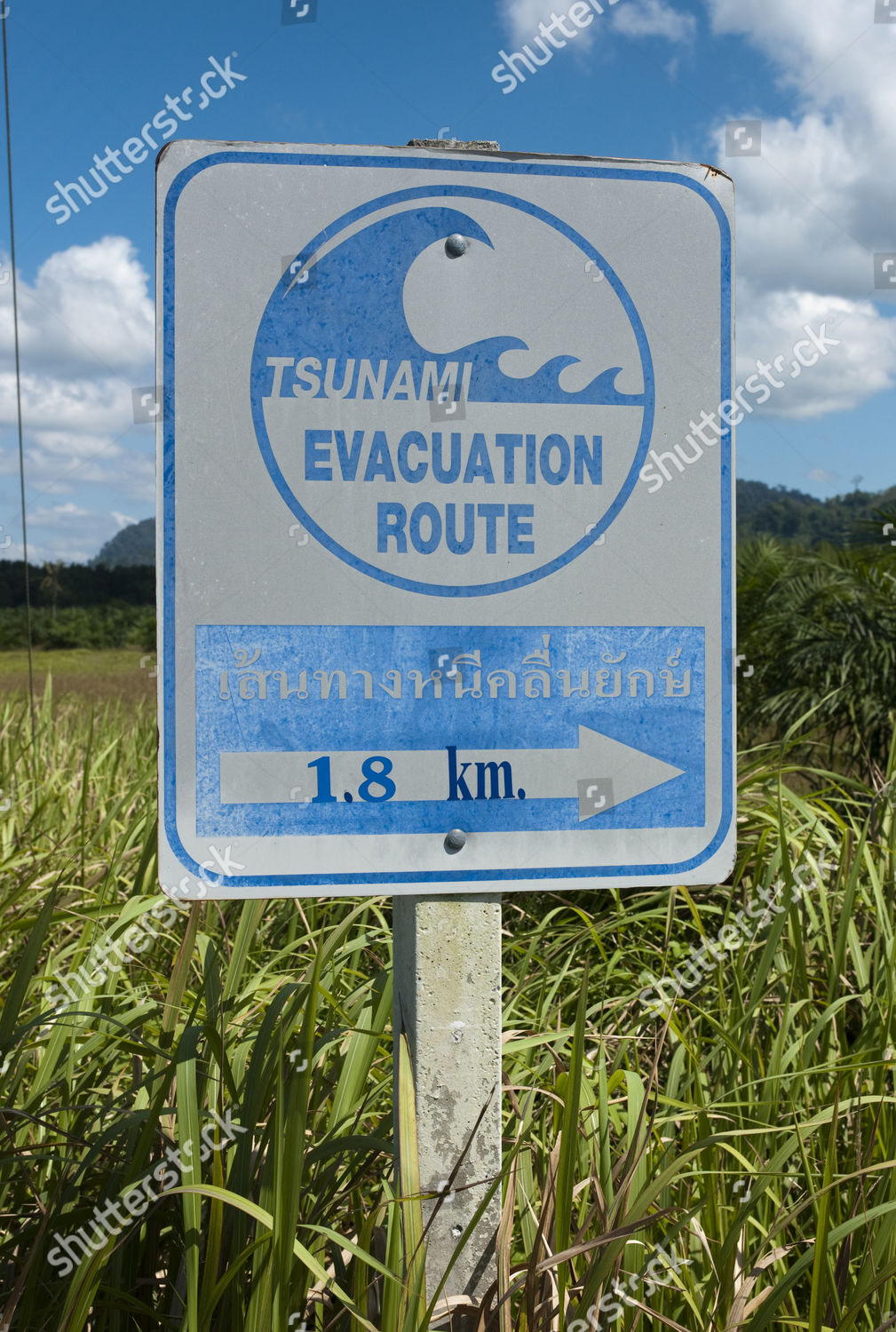 Tsunami Warning Sign On Beach Direction Editorial Stock Photo - Stock ...