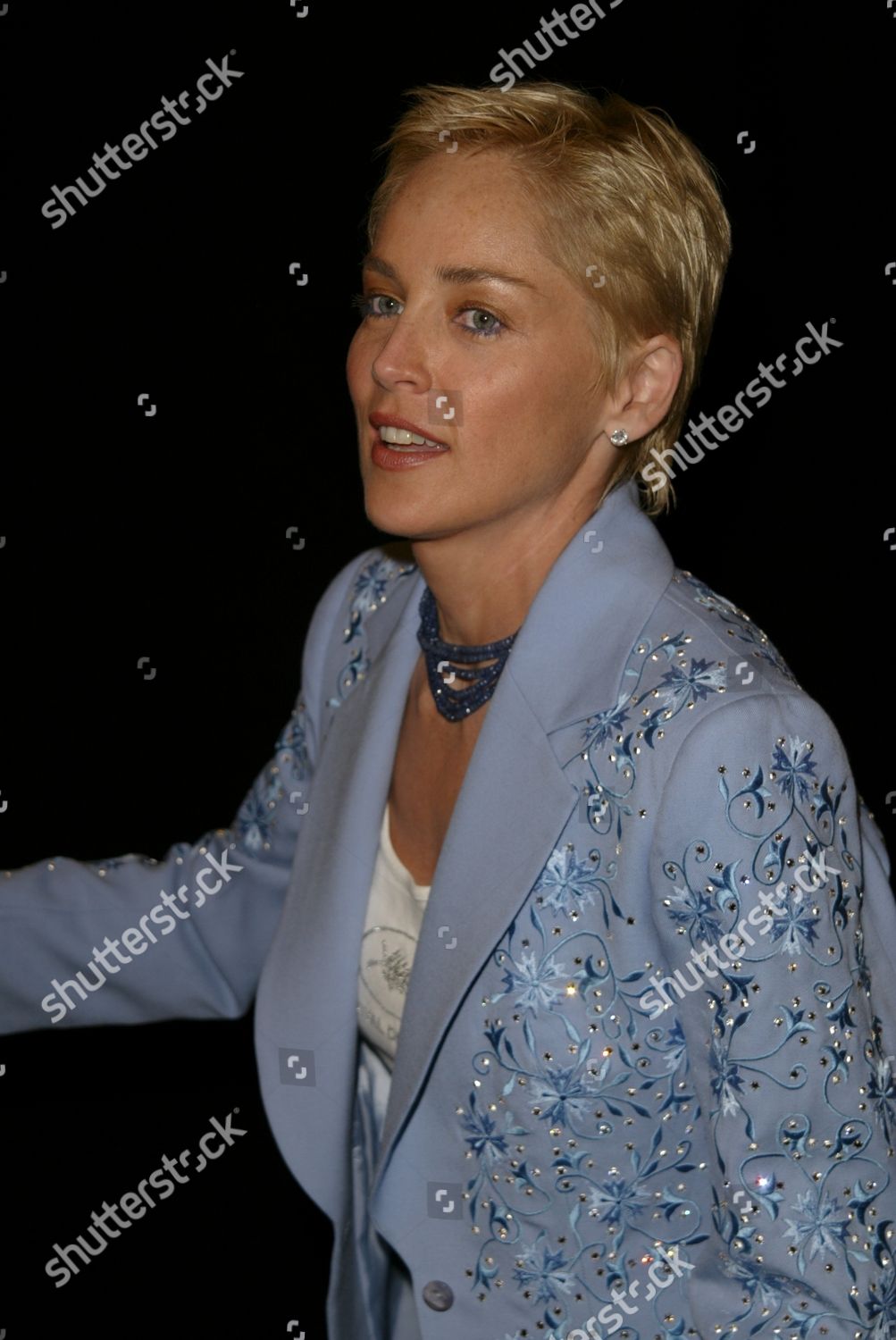 Sharon Stone Editorial Stock Photo - Stock Image | Shutterstock