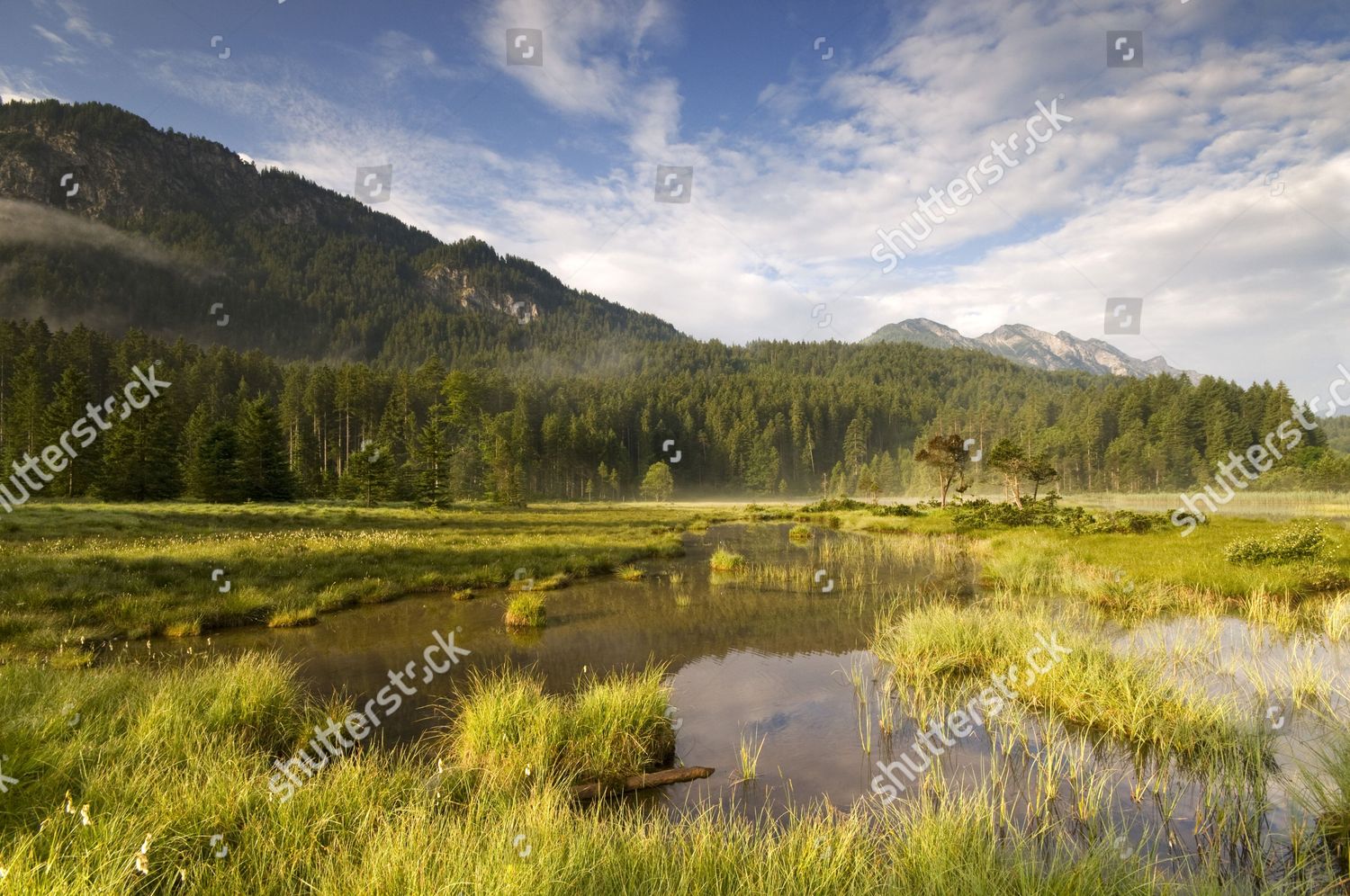 Lake Riedener Rieden Lech Valley Ausserfern Editorial Stock Photo ...