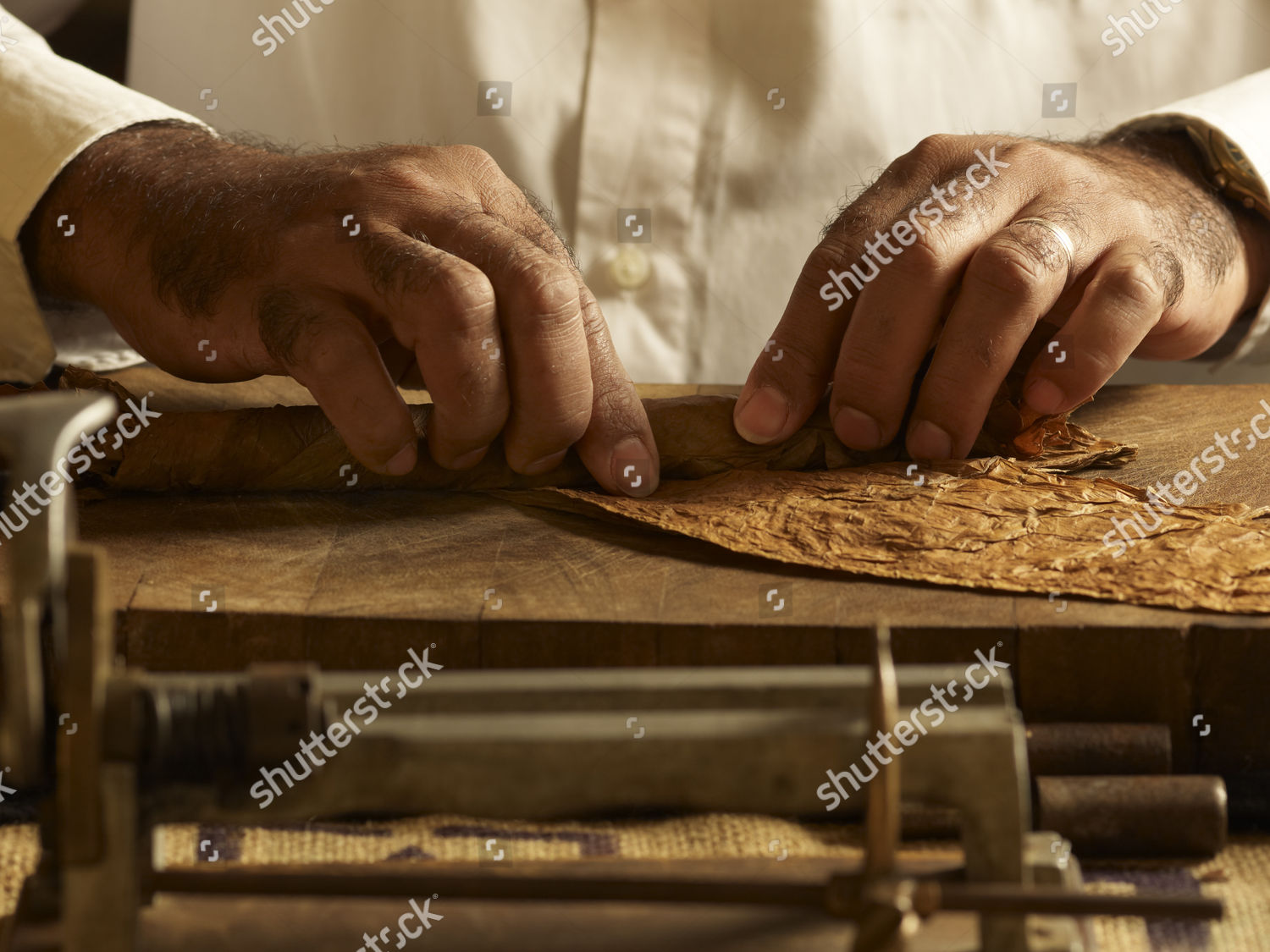 Cuban Cigar Roller Rolling Tobacco Leaves Editorial Stock Photo - Stock ...