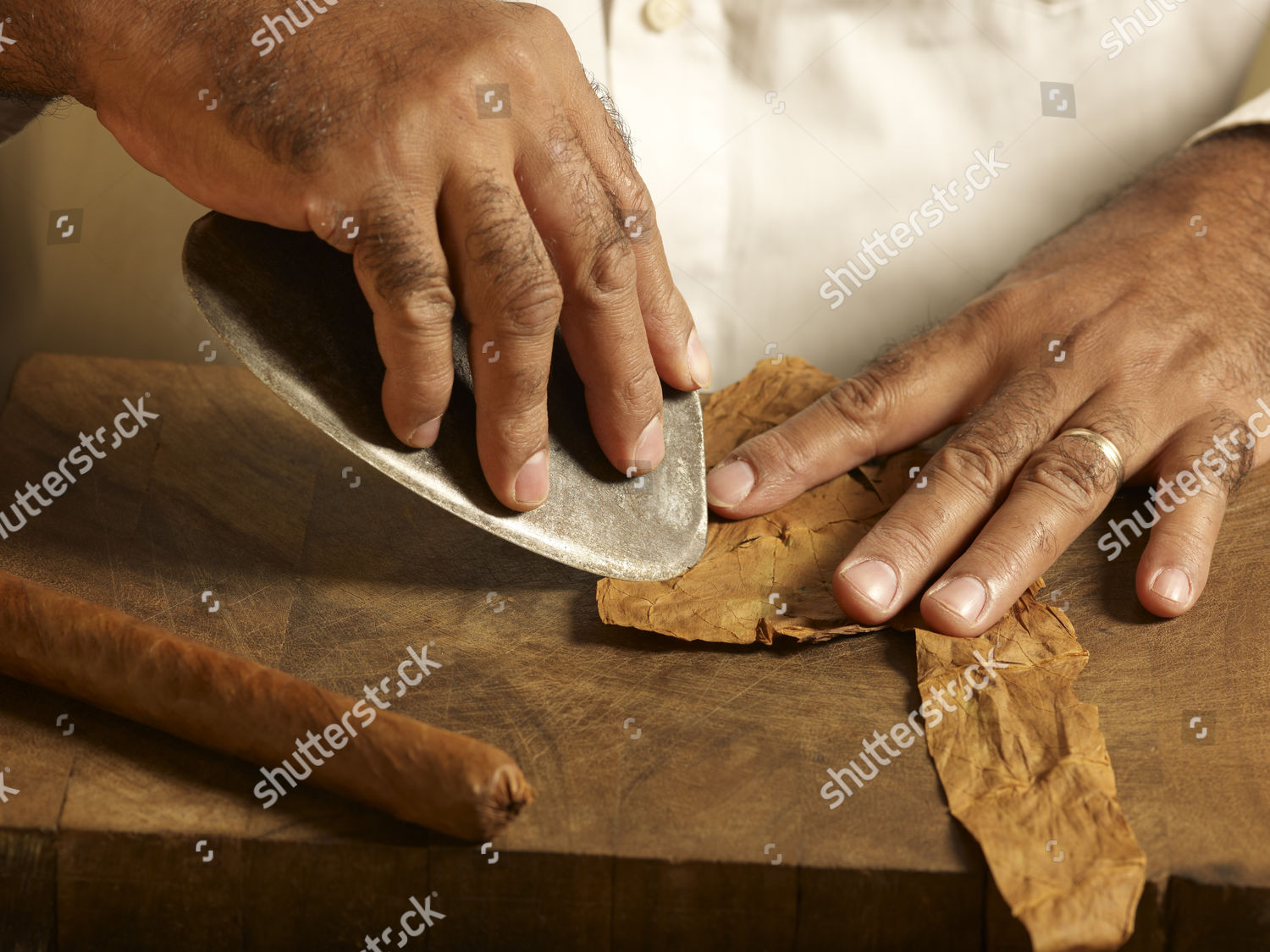 Cuban Cigar Roller Cutting Tobacco Leaf Editorial Stock Photo - Stock ...