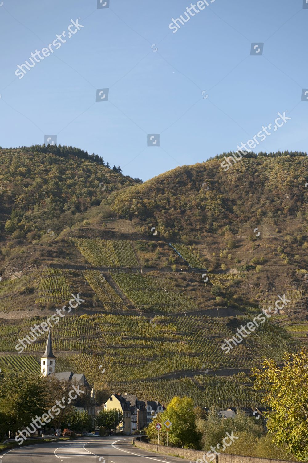 Wine Growing Town Bremm Bremmer Calmont Editorial Stock Photo - Stock ...
