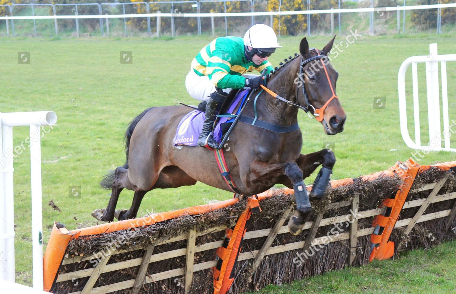 Wexford Knew Well Niall Madden Jumping Editorial Stock Photo - Stock ...