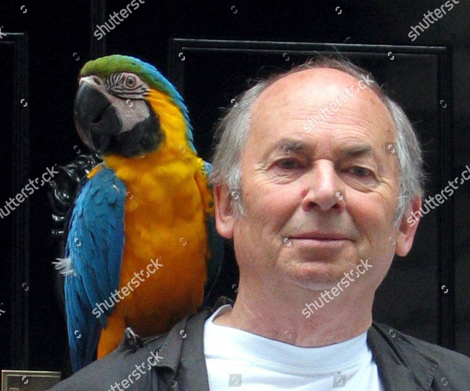 Illustrator Quentin Blake Blue Yellow Macaw Editorial Stock Photo ...