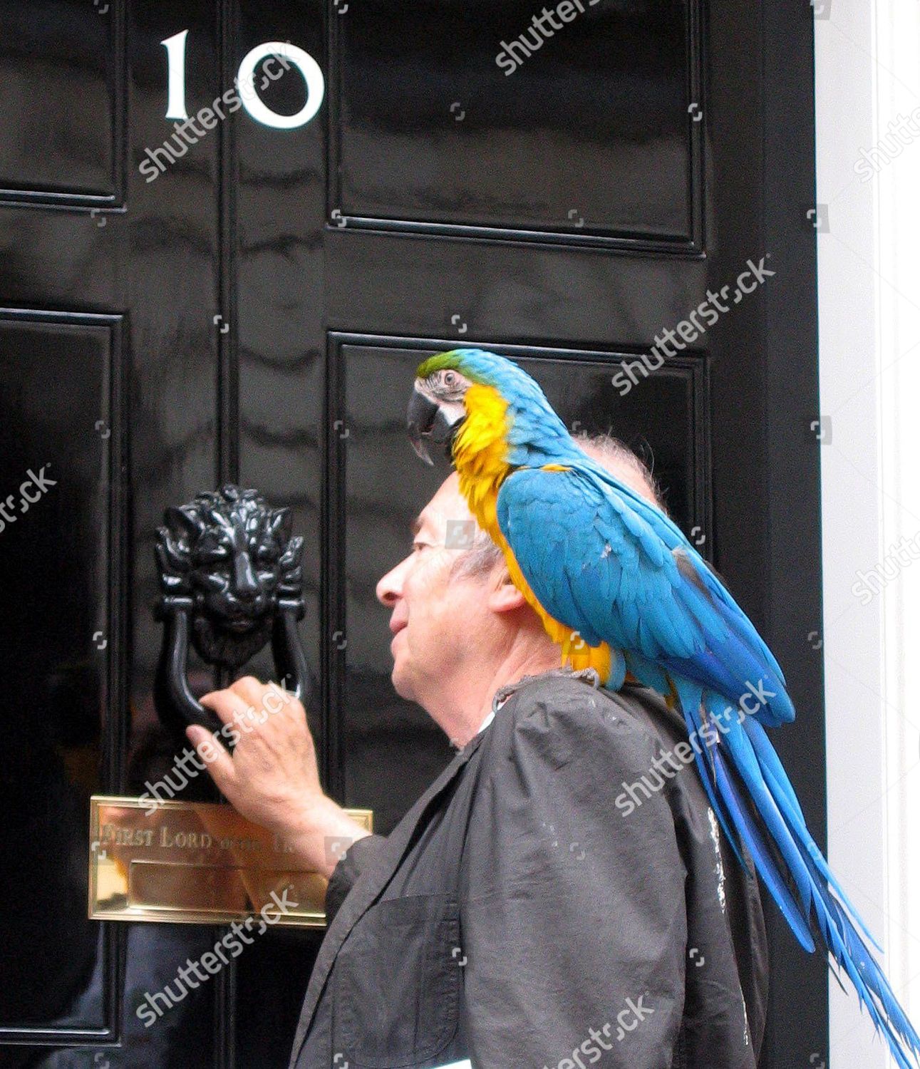 Illustrator Quentin Blake Blue Yellow Macaw Editorial Stock Photo ...