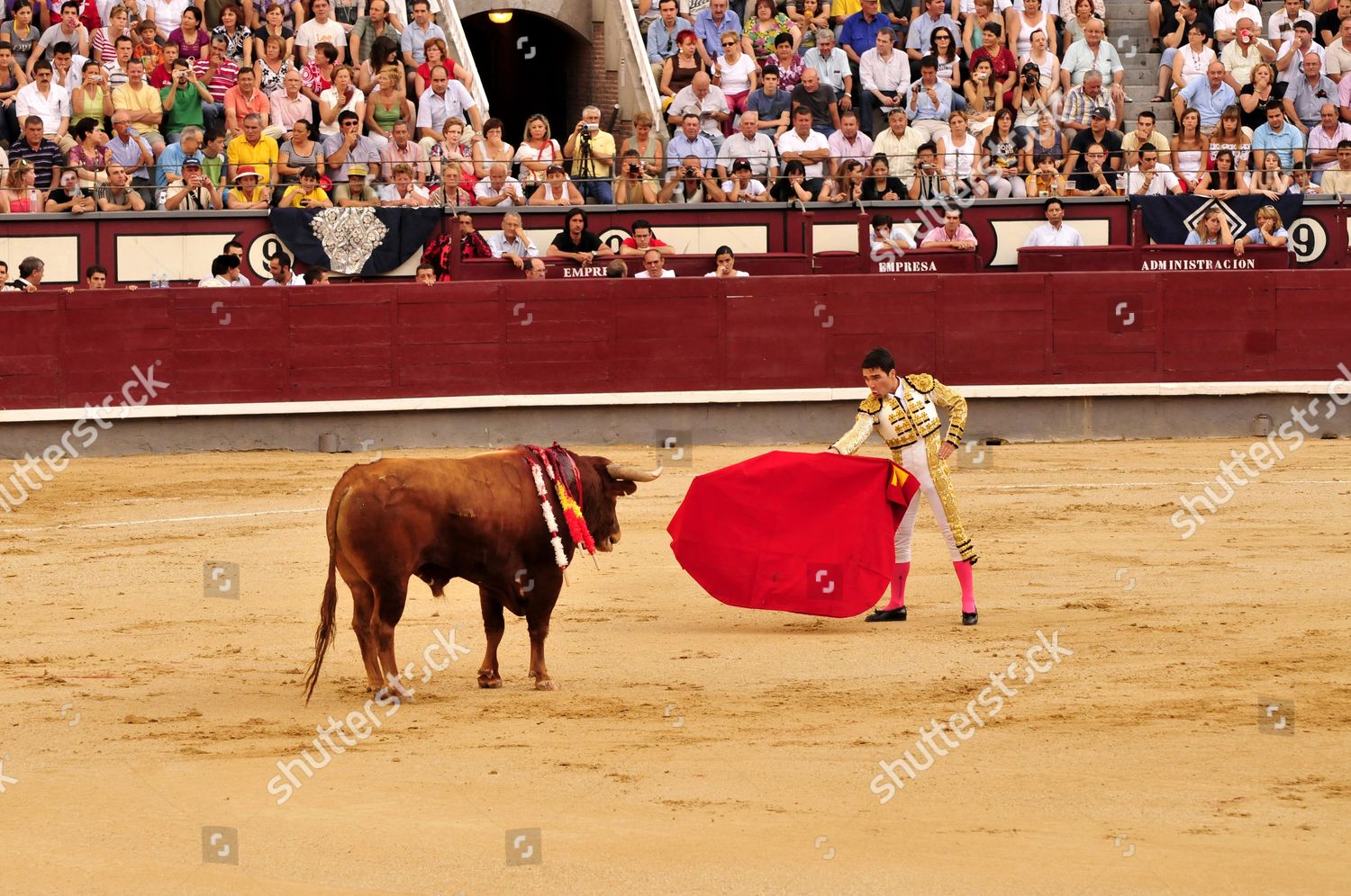 Bullfighter Matador Scarlet Cape Muleta Sword Editorial Stock Photo ...