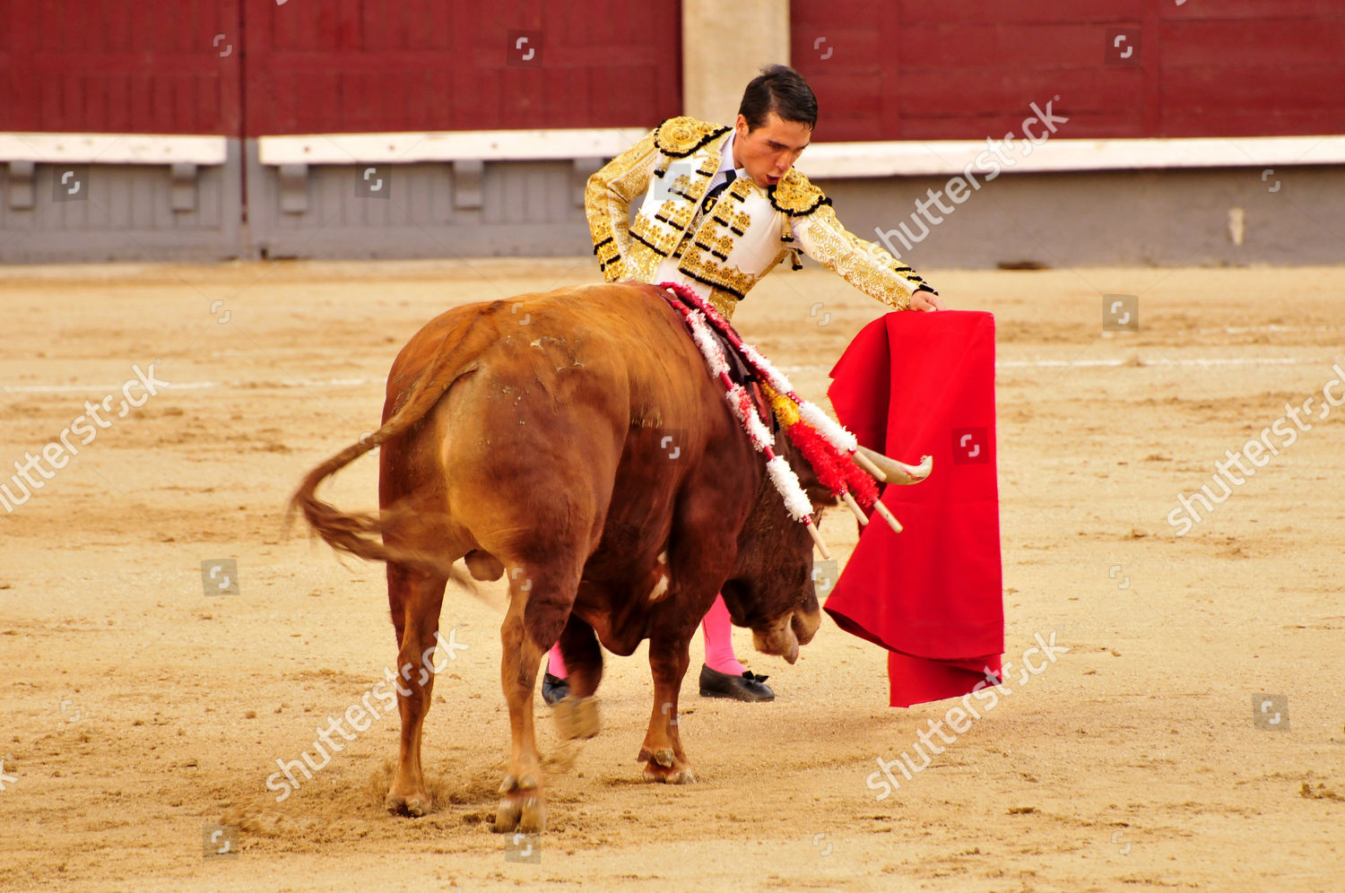 Bullfighter Matador Scarlet Cape Muleta Sword Editorial Stock Photo ...