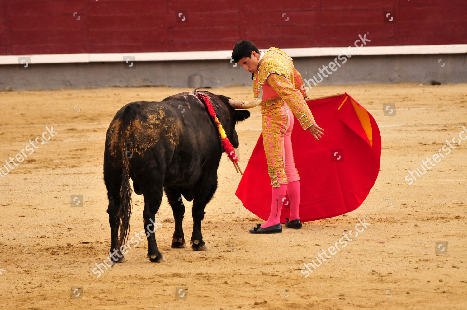 Bullfighter Matador Scarlet Cape Muleta Sword Editorial Stock Photo ...