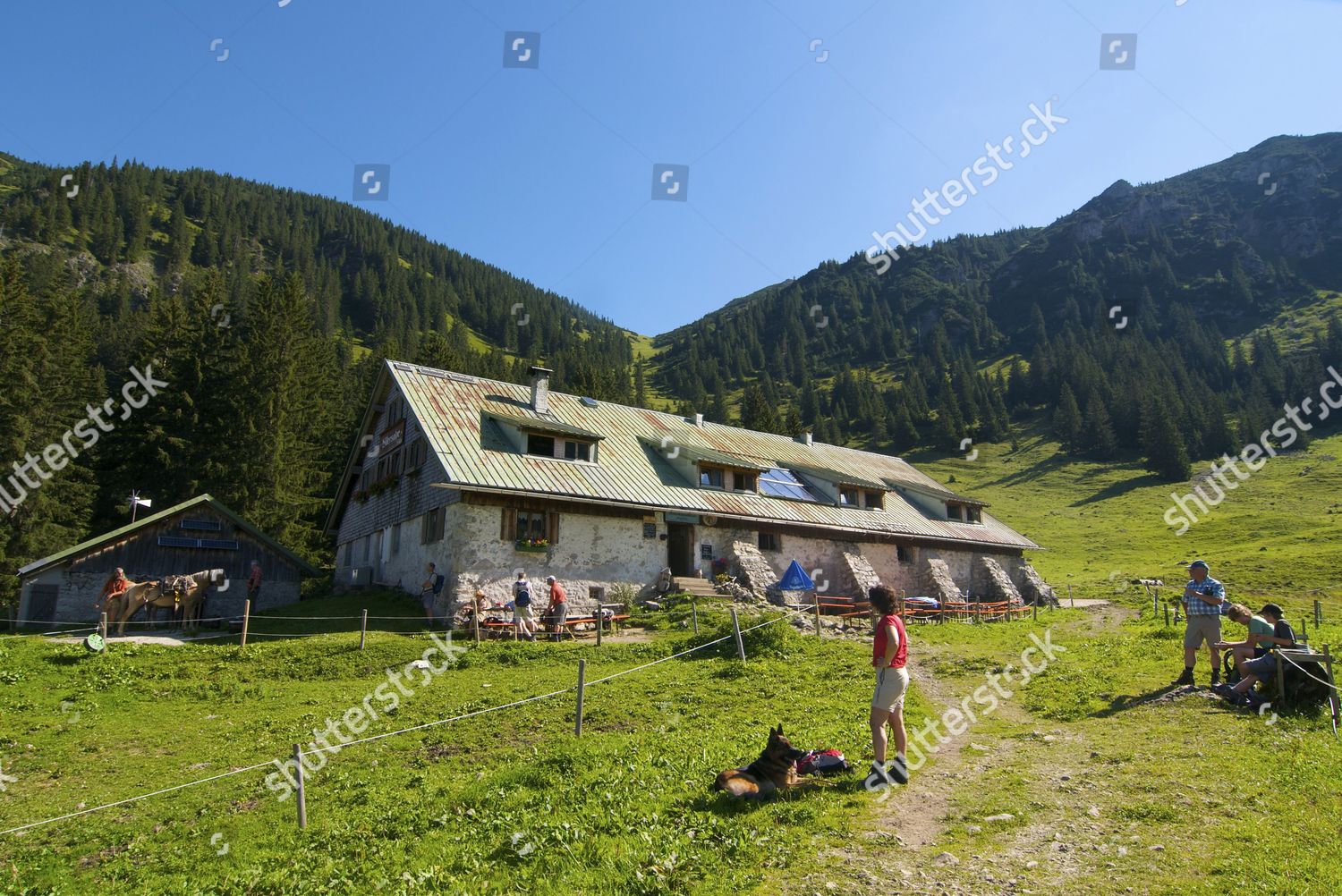 Willersalpe Alp Hinterstein Hintersteiner Valley Bad Editorial Stock ...