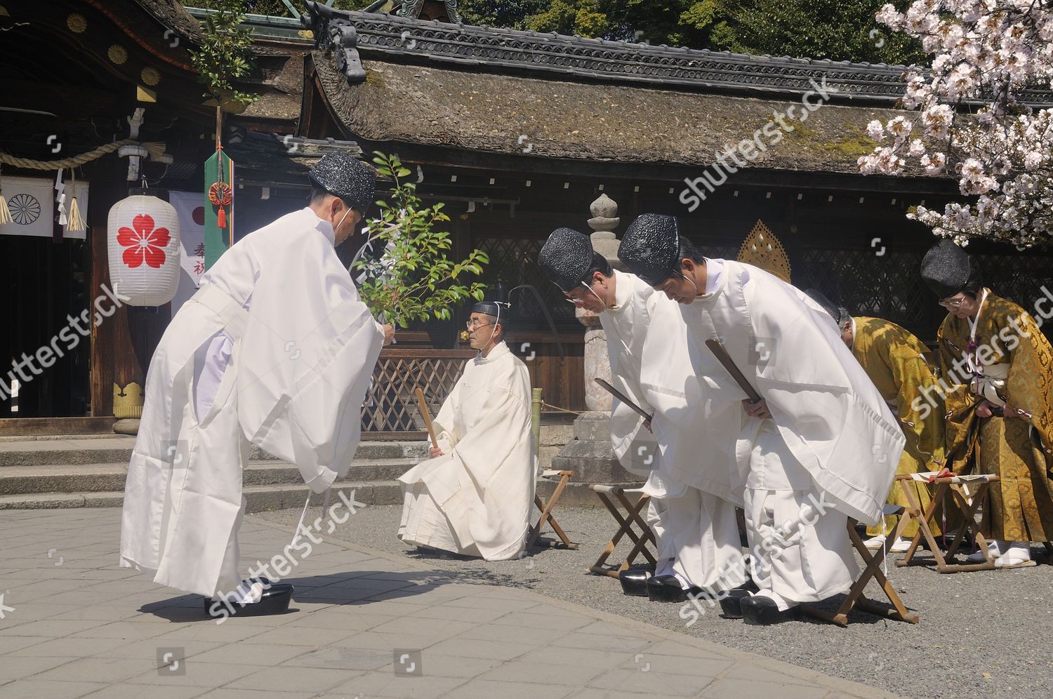 Shinto Priest Purgation Waving Branches Bowing Editorial Stock Photo ...