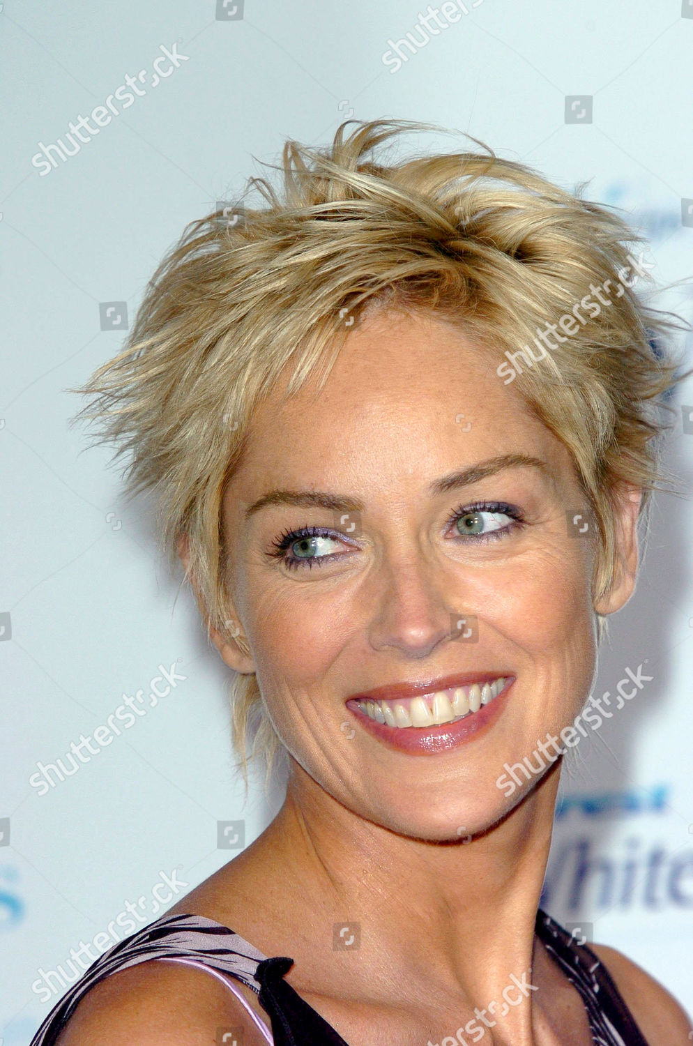 Sharon Stone Editorial Stock Photo - Stock Image | Shutterstock
