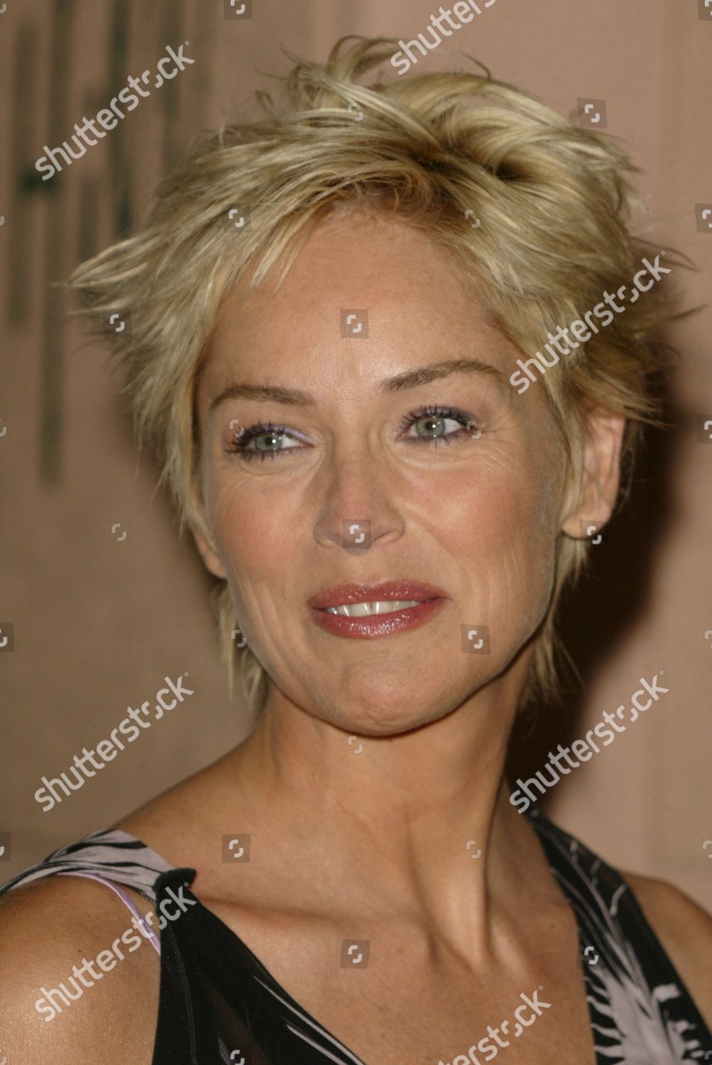 Sharon Stone Editorial Stock Photo - Stock Image | Shutterstock