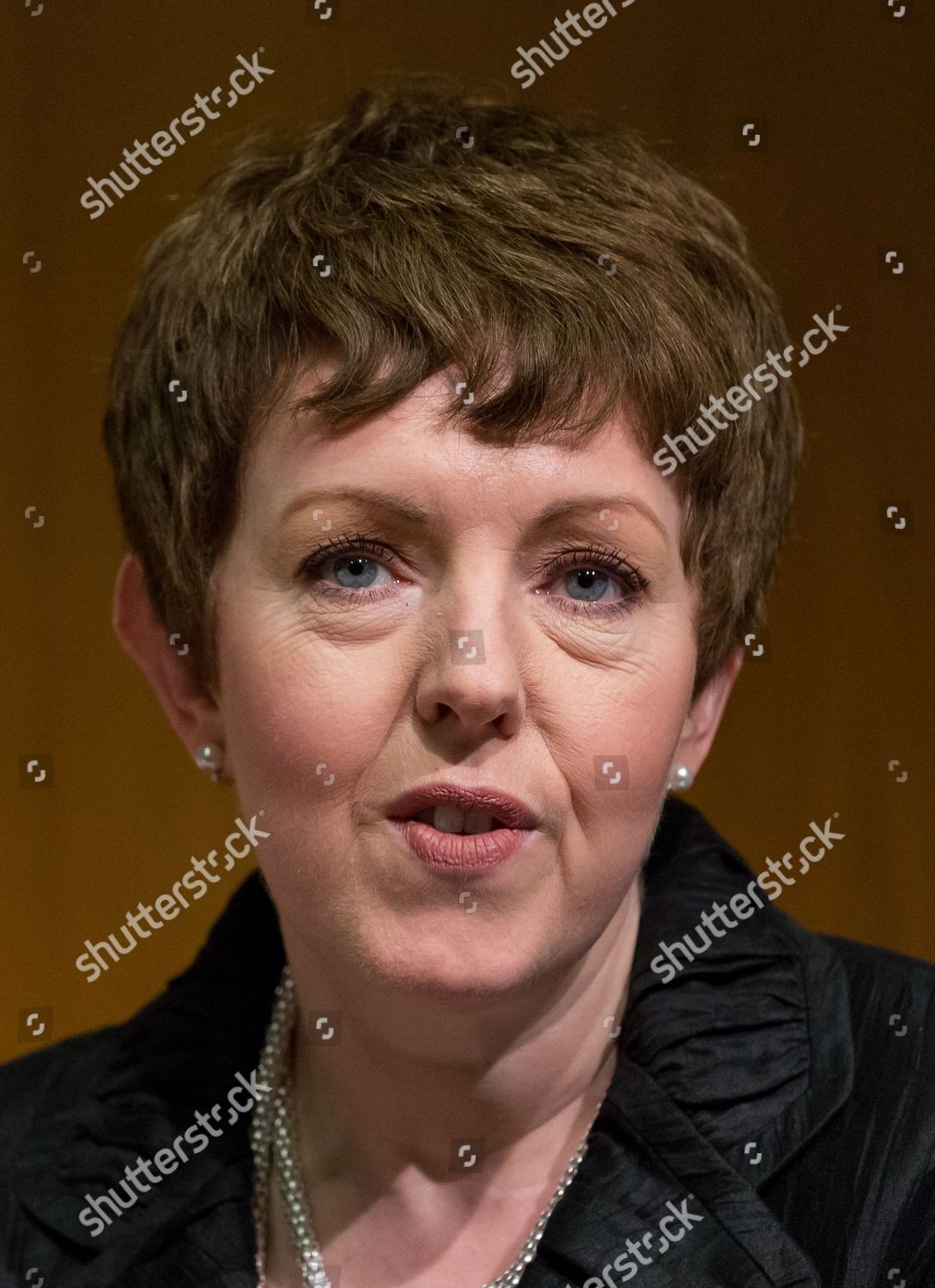 Baroness Stowell Editorial Stock Photo - Stock Image | Shutterstock