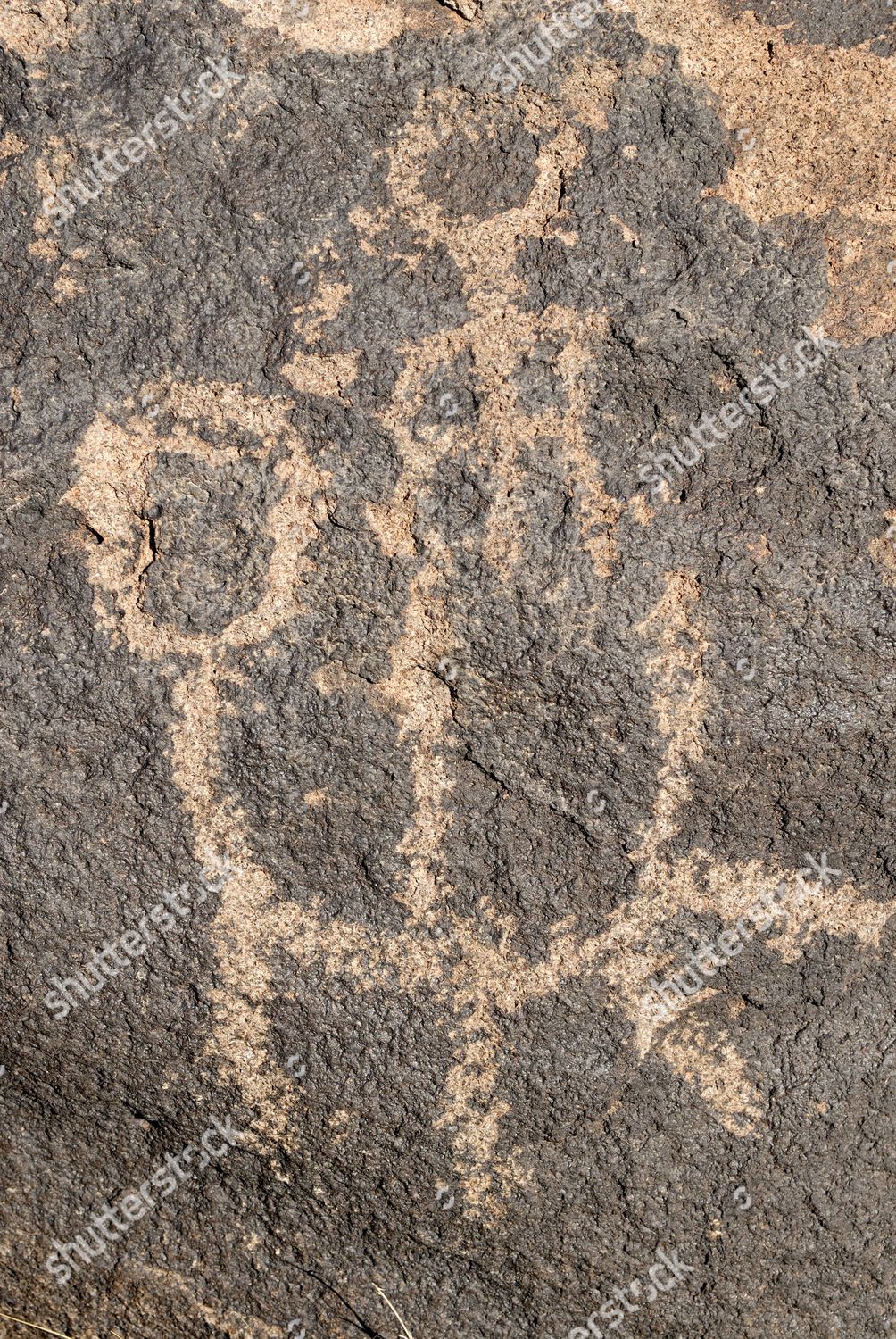 Historic Native American Engravings Petroglyphs Animal Editorial Stock ...
