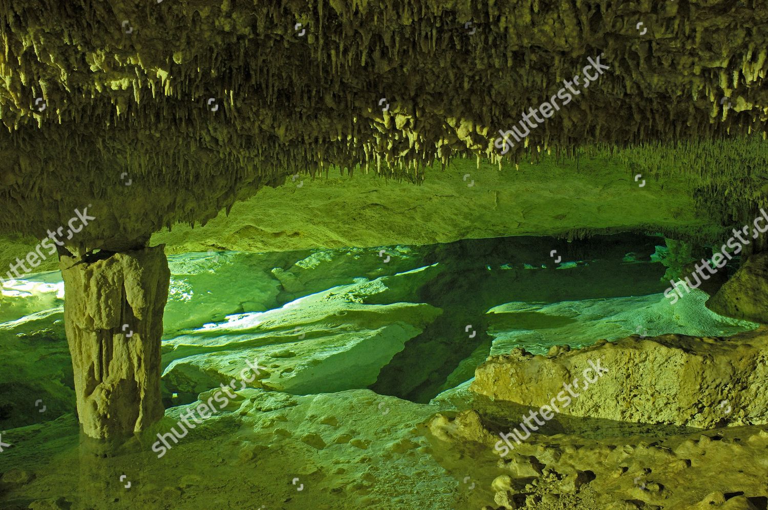 Cenote Sinkhole Hidden Worlds Cenotes Park Editorial Stock Photo ...