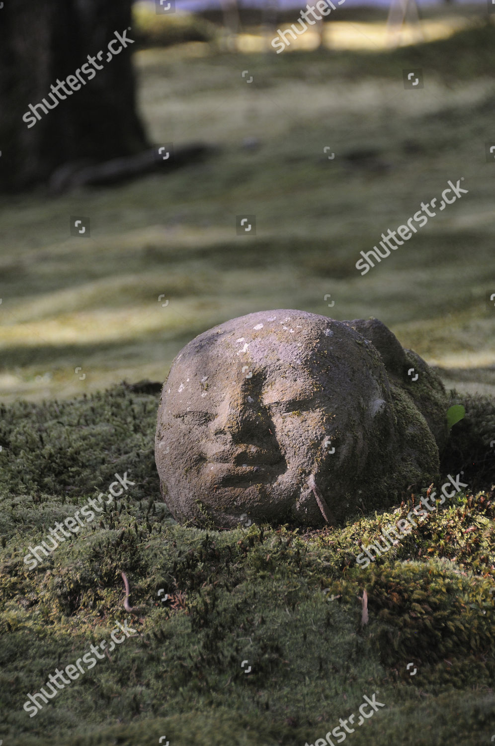 Buddhist Jizo Figure Moss Garden Sanzenin Editorial Stock Photo - Stock ...