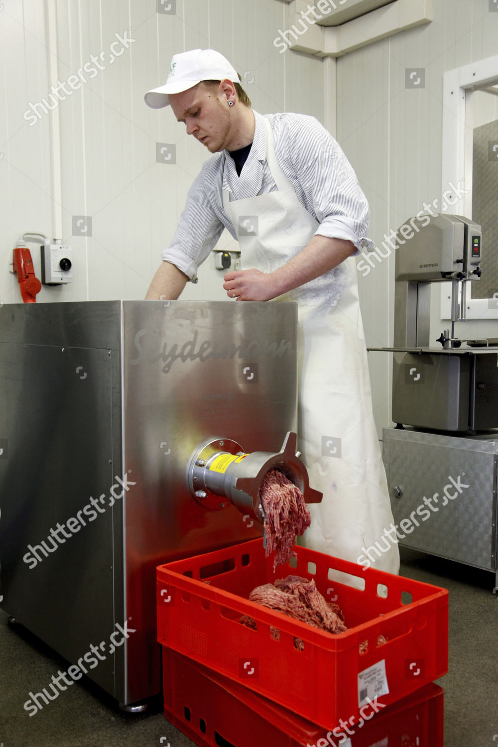 MODEL RELEASED BUTCHER APPRENTICE CREATING SAUSAGES Editorial Stock ...
