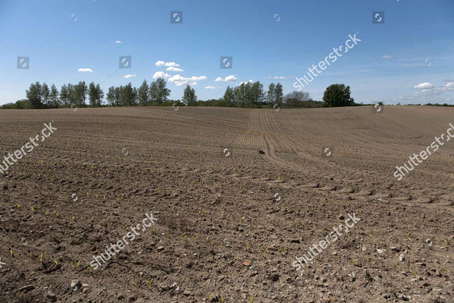 Freshly Planted Field Angeln Region Eastern Editorial Stock Photo ...