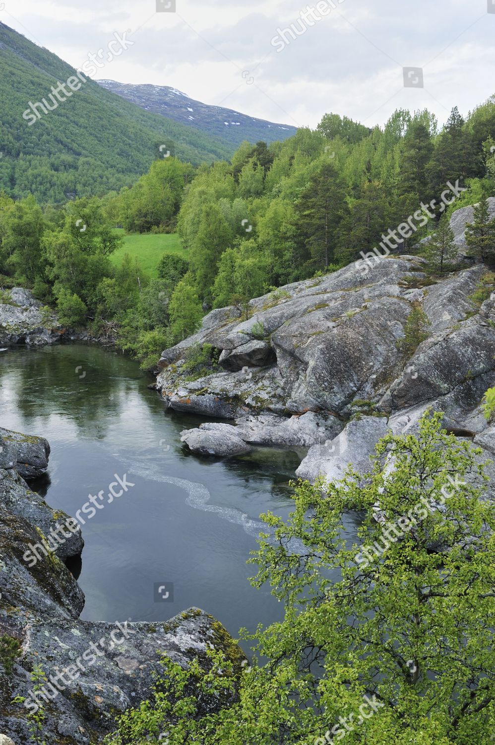 Driva River Dovrefjell National Park Norway Editorial Stock Photo ...