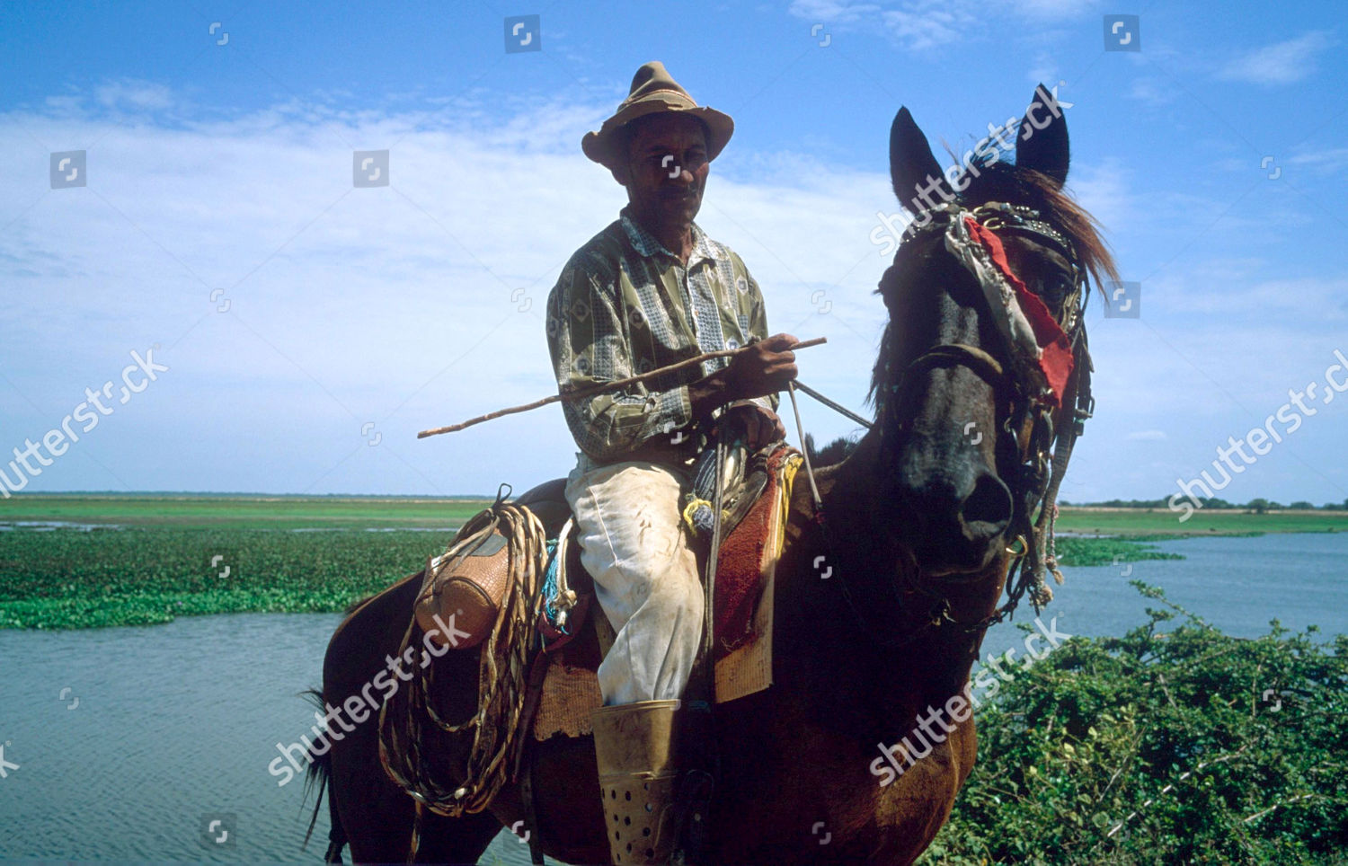 Llaneros Cowboy Ranch Swamp Background Where Editorial Stock Photo ...
