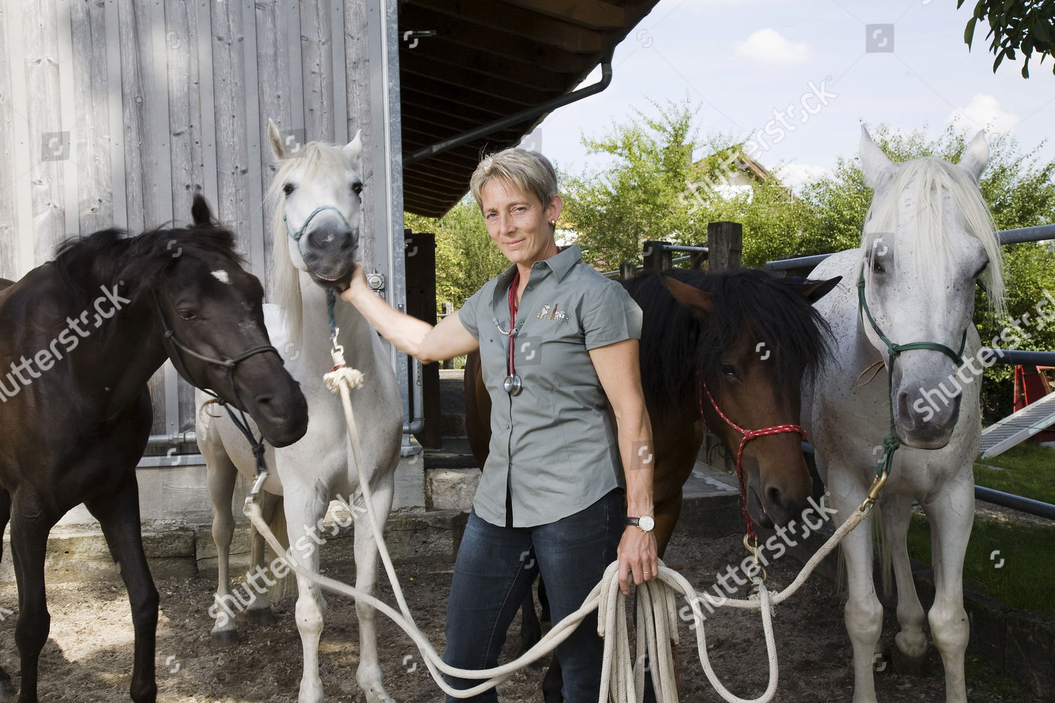 Model Released Veterinarian Specialising Large Animals Editorial Stock ...