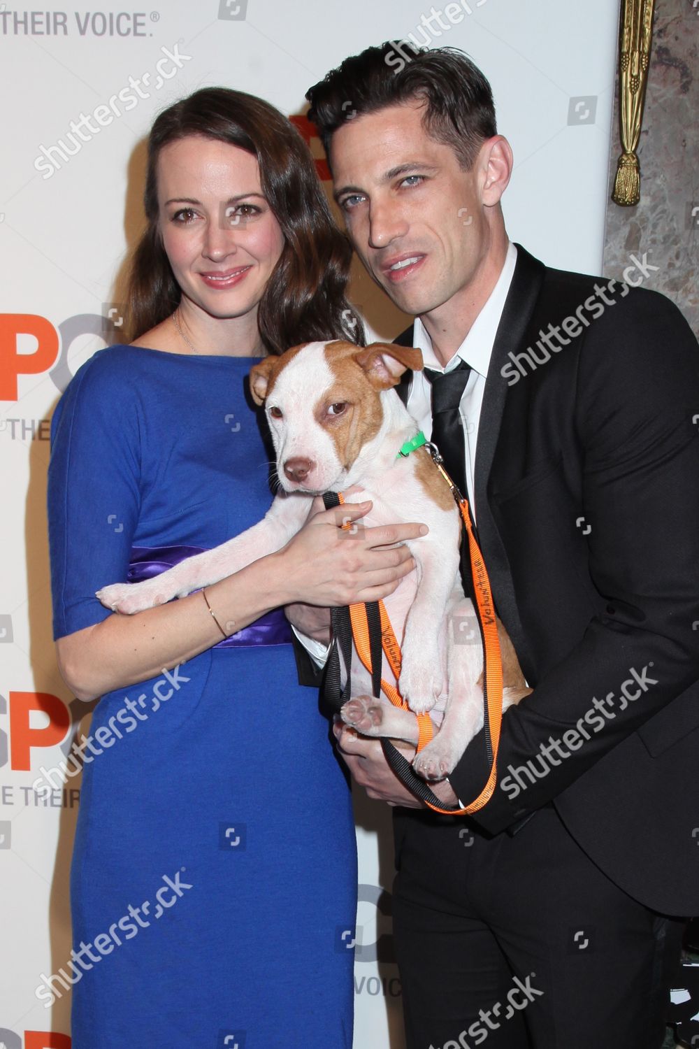 Amy Acker James Carpinello Editorial Stock Photo - Stock Image ...