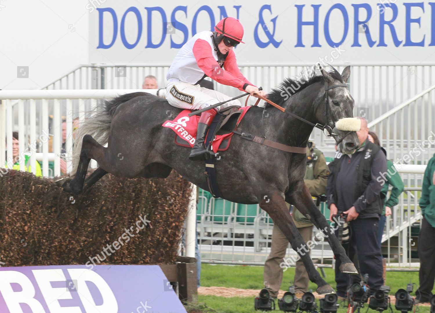 Saphir Du Rheu Sam Twistondavies Jumps Editorial Stock Photo - Stock ...
