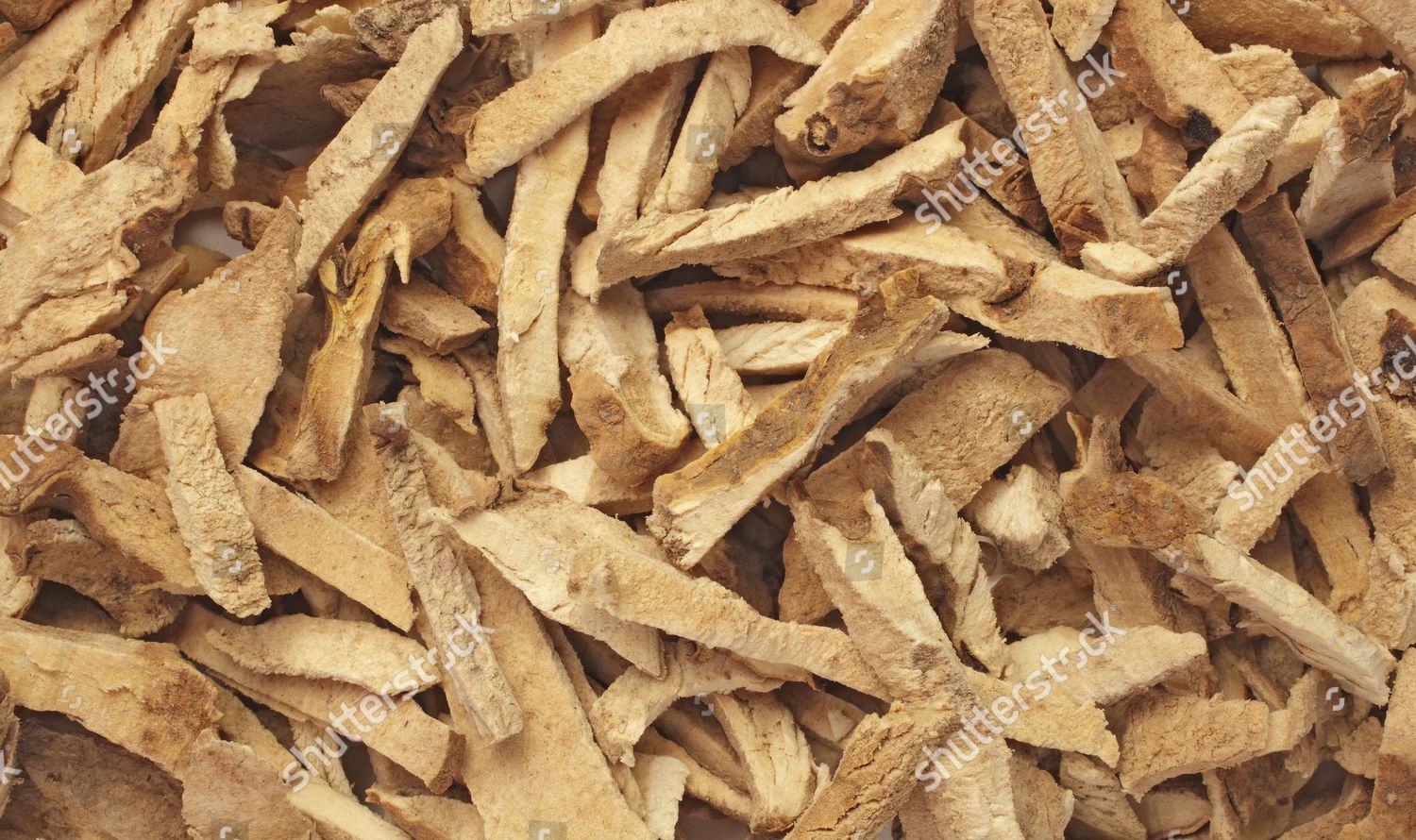 Medicinal Plant Yamroots Dried Roots Water Editorial Stock Photo ...