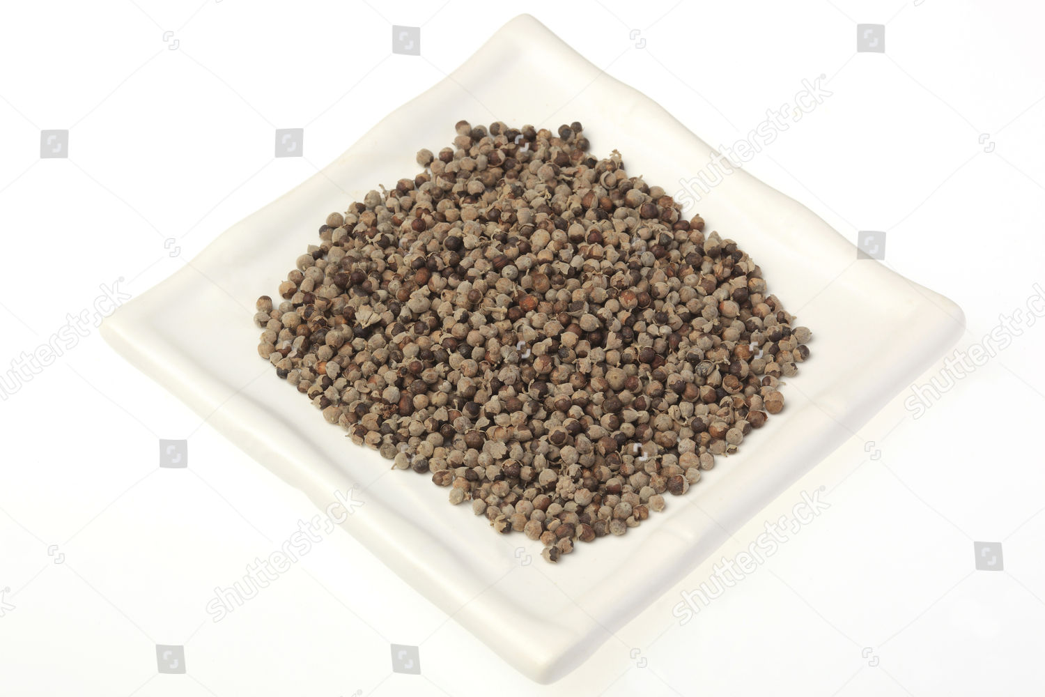 Medicinal Plant Seeds Vitex Chaste Tree Editorial Stock Photo - Stock ...