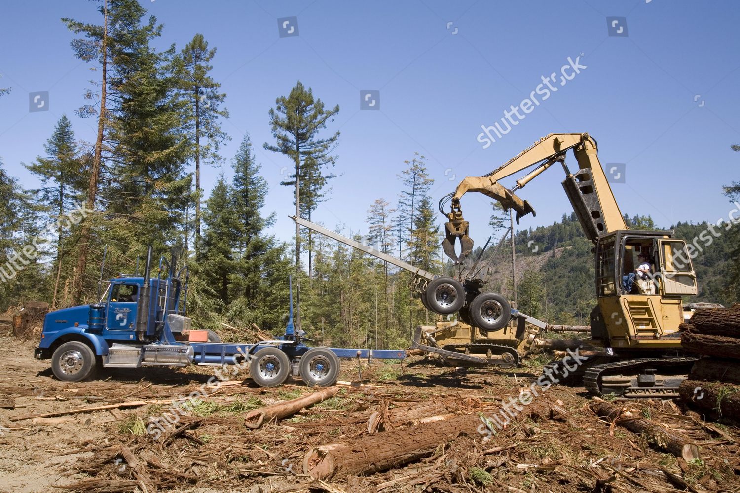Logging Redwoods Fort Bragg Northern California Editorial Stock Photo ...