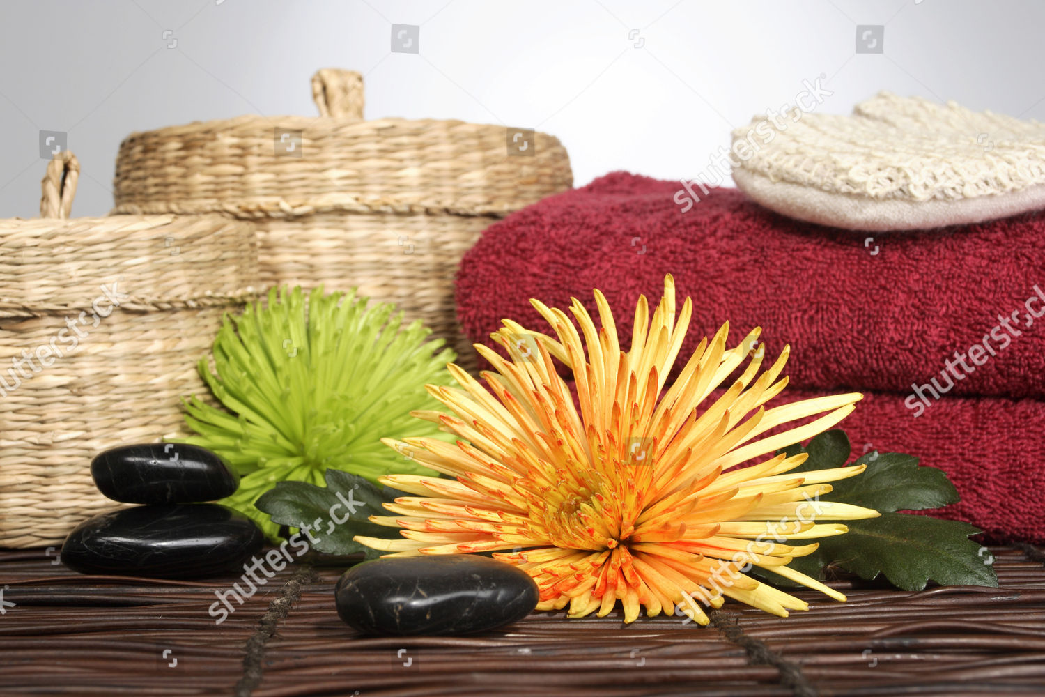 Asters Bathing Paraphernalia Editorial Stock Photo - Stock Image ...