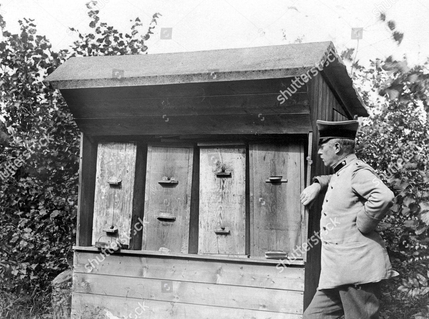 Historic Photograph Beekeeper Around 1915 Editorial Stock Photo - Stock ...