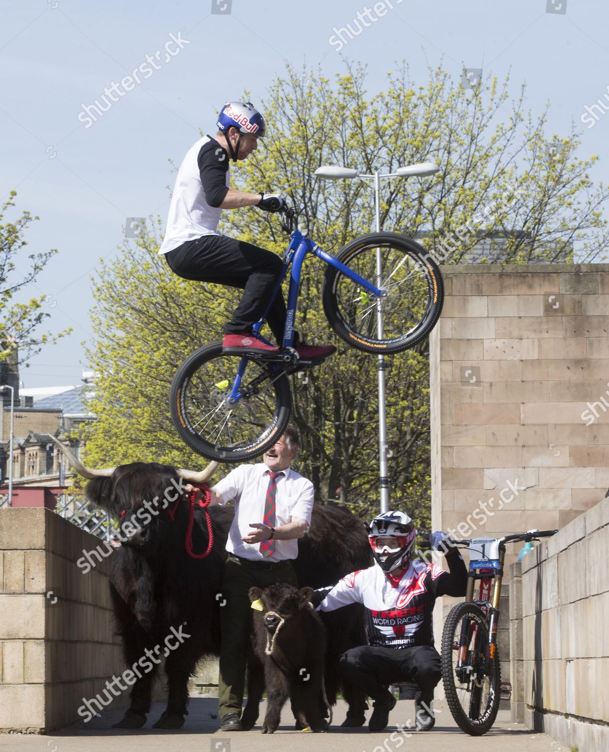 Danny Macaskill Jumping Daisy Cow Editorial Stock Photo - Stock Image ...